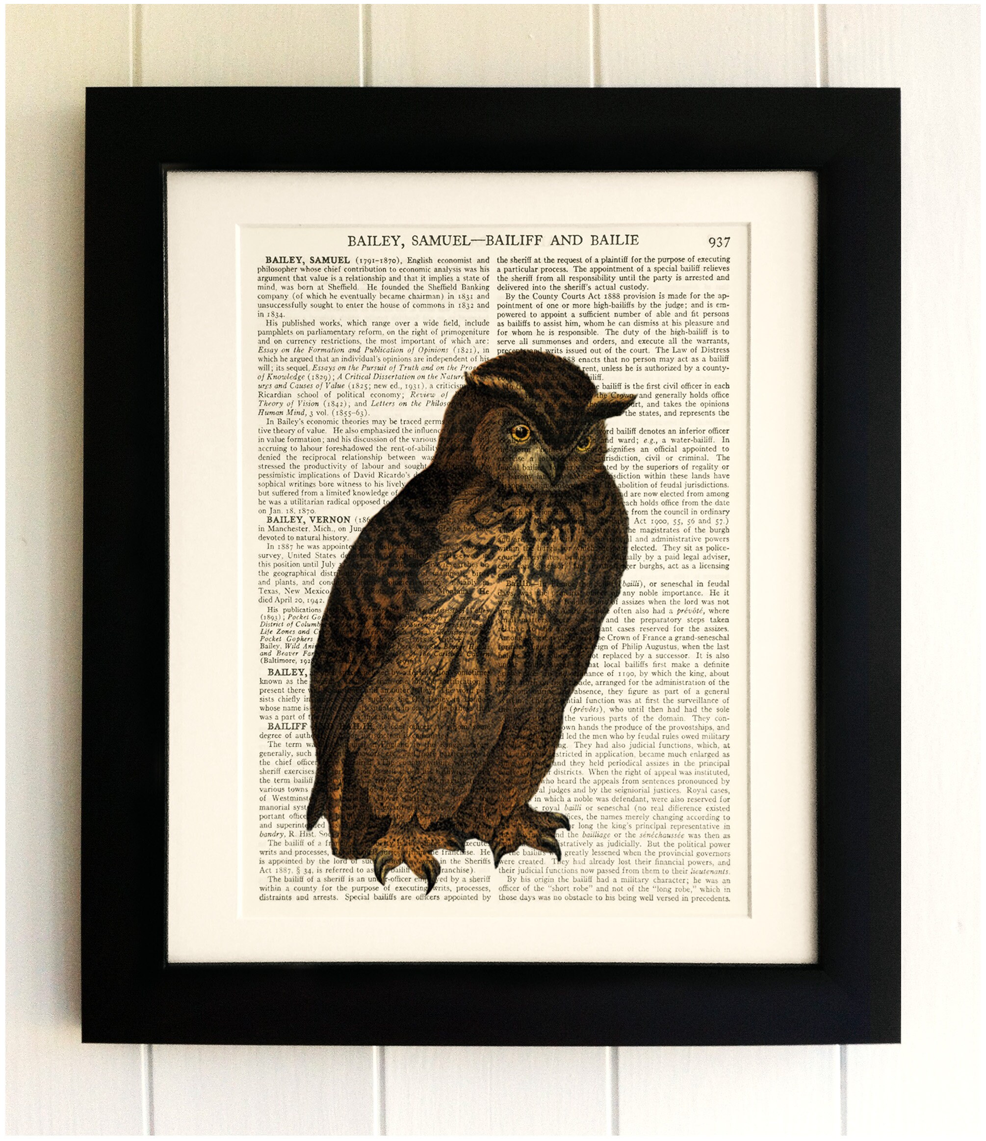 Set of 6 Art Prints on Old Antique Book Page Owls Vintage - Etsy UK