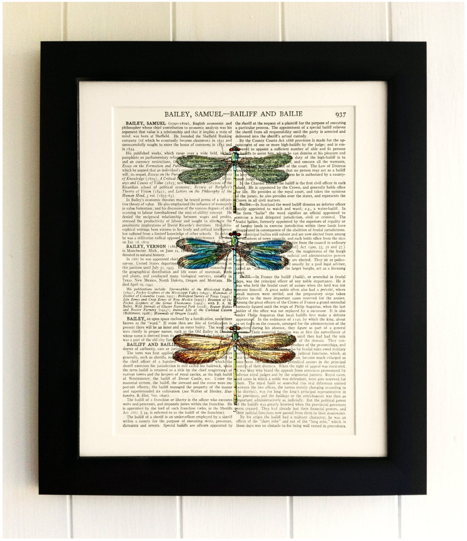 ART PRINT on Old Antique Book Page - 3 Dragonflies, Vintage Upcycled ...