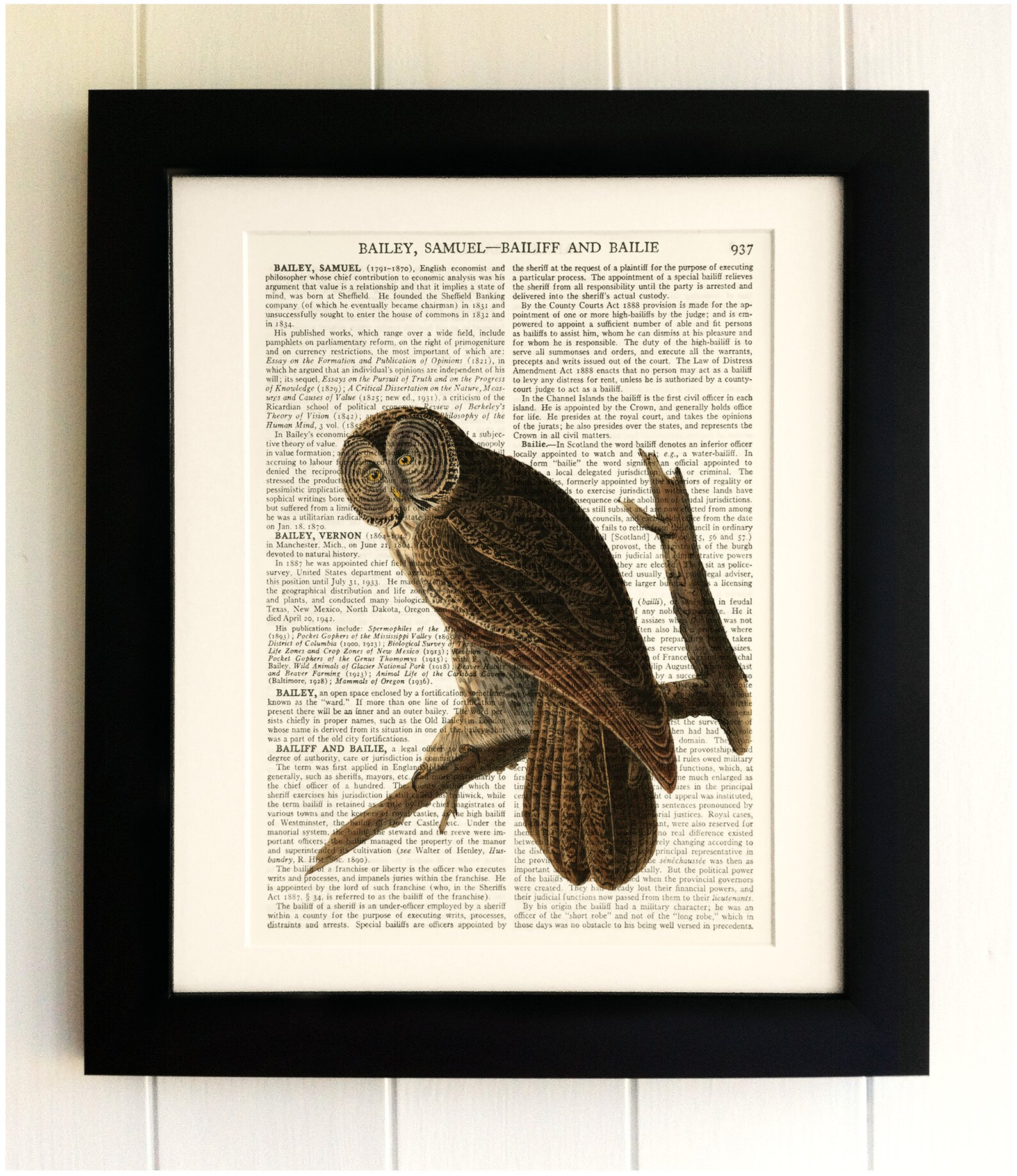 Set of 6 Art Prints on Old Antique Book Page - Owls, Vintage Wall Art ...