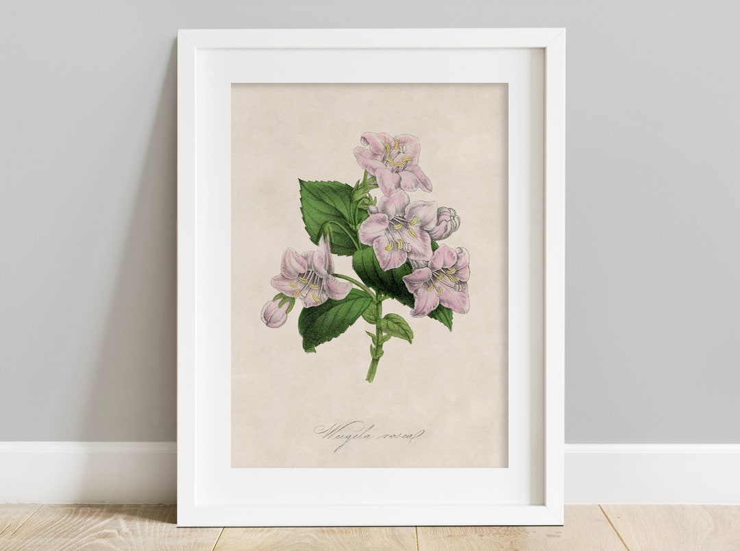 Vintage Style Floral Print, A4, *UNFRAMED* Fabulous Vintage Wall Art ...