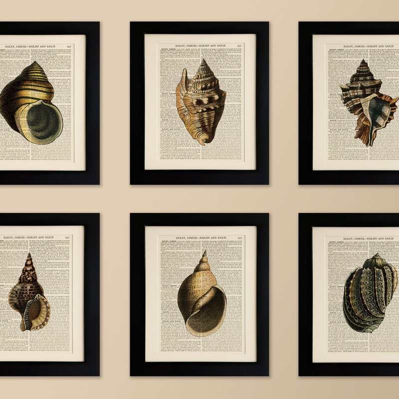 Antique Seashell Frames - Etsy