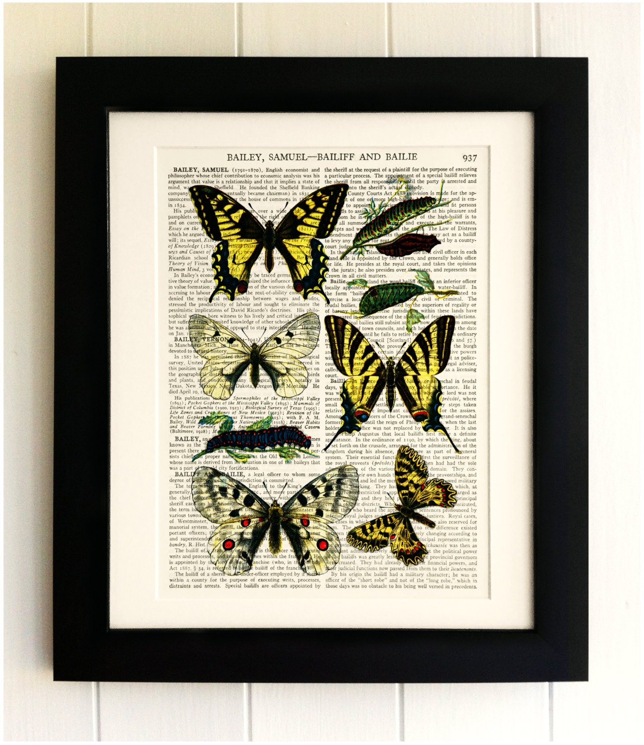 ART PRINT on Old Antique Book Page - Butterflies/caterpillars, Vintage ...
