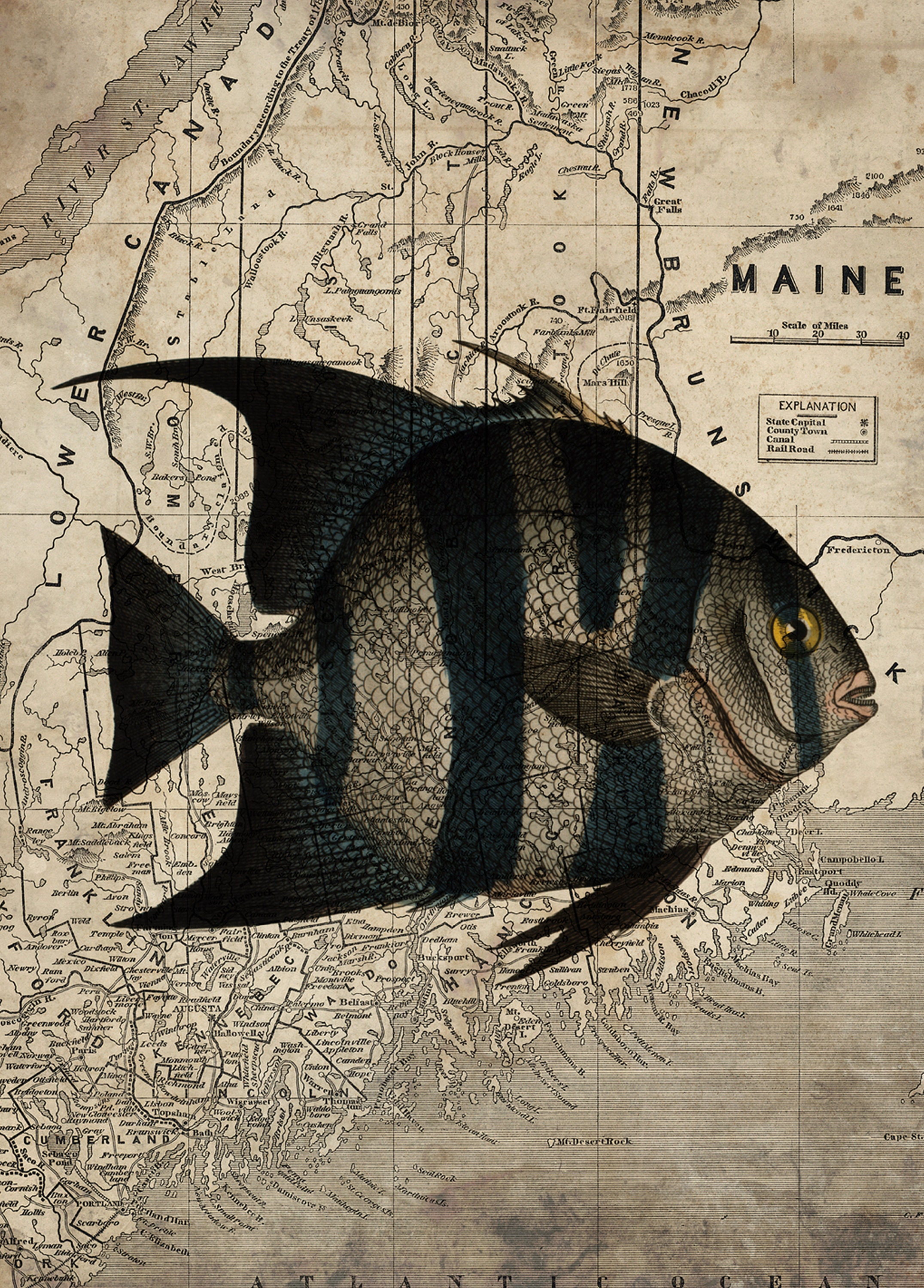 SET OF 4 Sea Creature Map Prints 5x7 UNFRAMED | Etsy