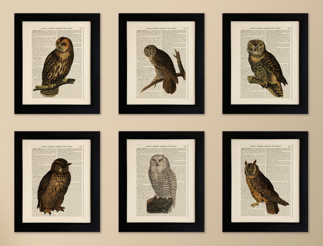 Set of 6 Art Prints on Old Antique Book Page - Owls, Vintage Wall Art ...