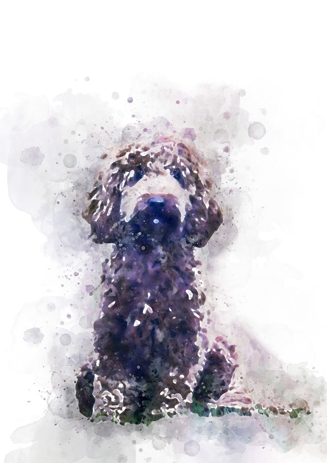 Cockapoo Dog Wall Art Watercolour Print Illustration A4 - Etsy New Zealand