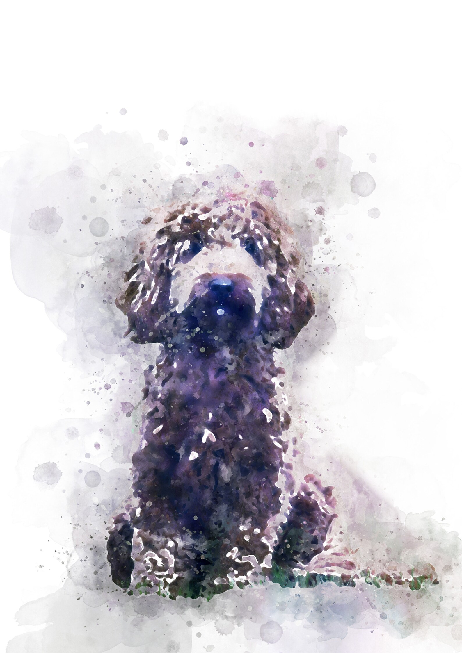 Cockapoo Dog Wall Art Watercolour Print Illustration A4 - Etsy New Zealand