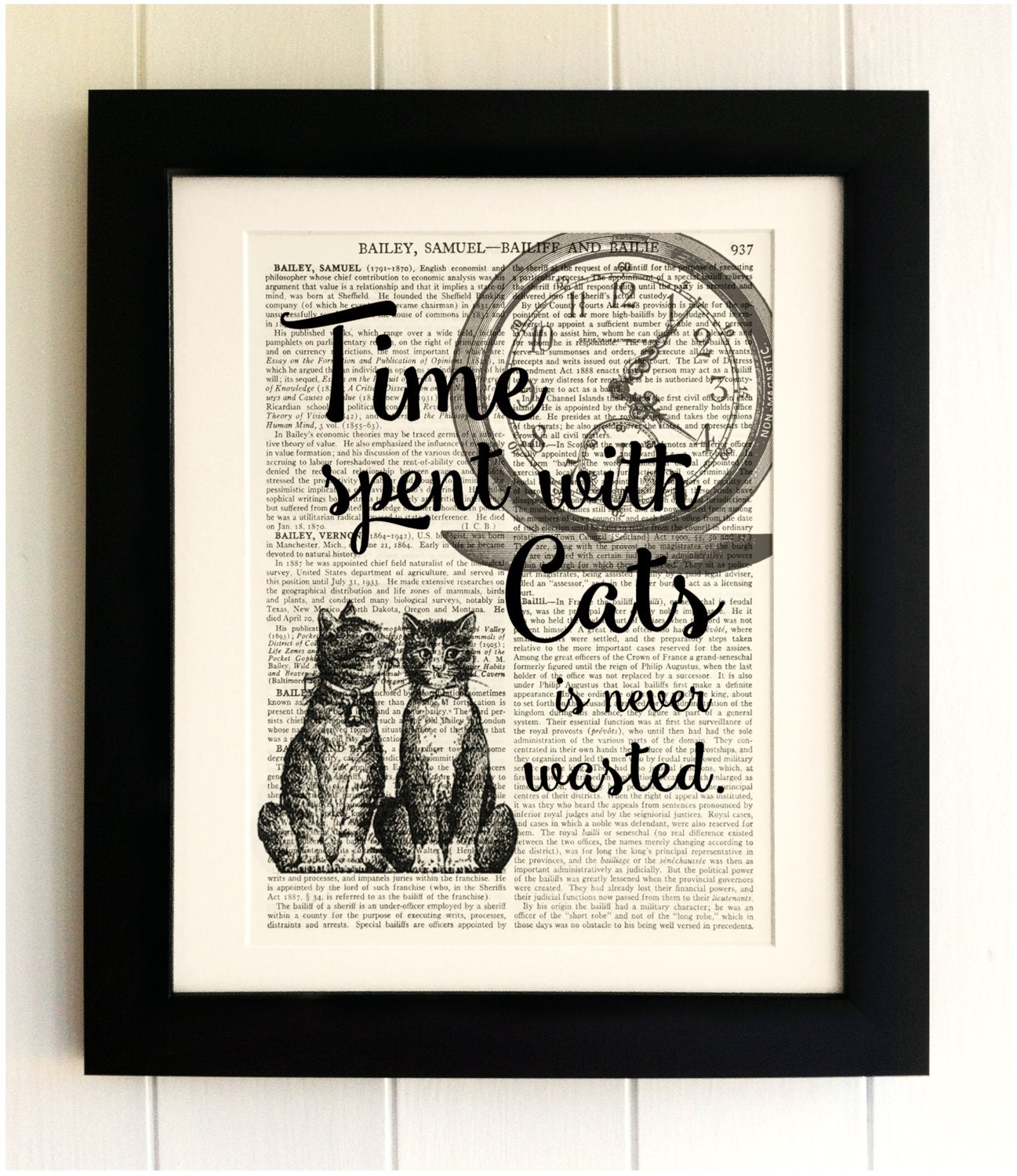 Beautiful Cat Quotes