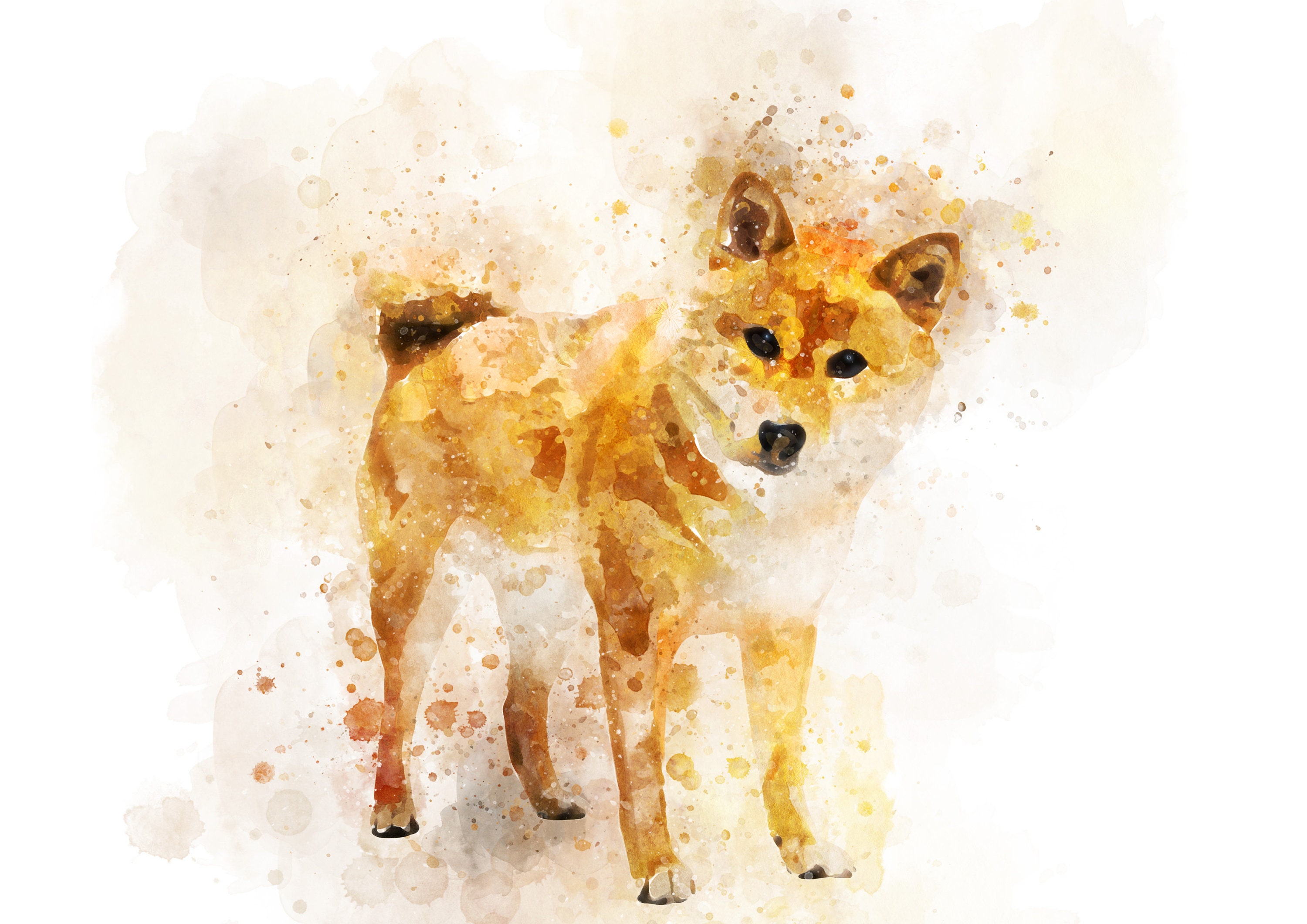 Shiba Inu Dog Wall Art Watercolour Print Illustration A4 - Etsy