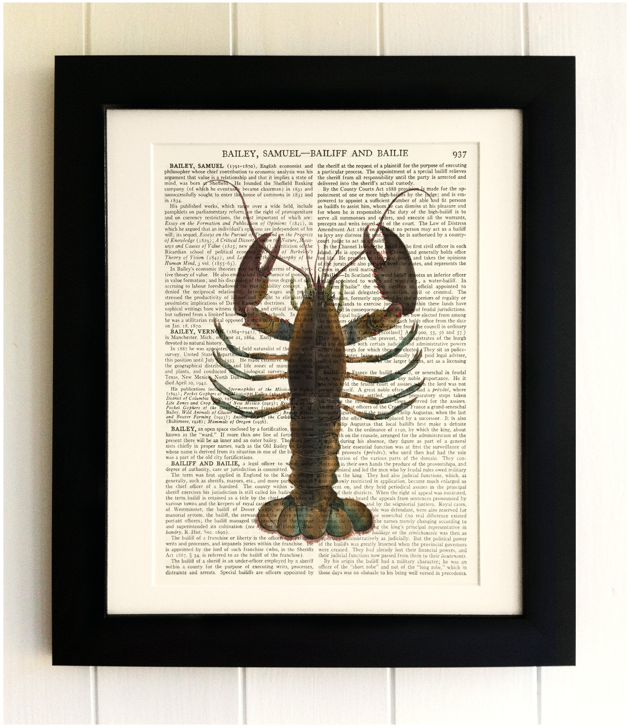 Set of 6 Art Prints on Old Antique Book Page - Sea Creatures, Vintage ...