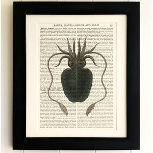 Set of 6 Art Prints on Old Antique Book Page - Sea Creatures, Vintage ...