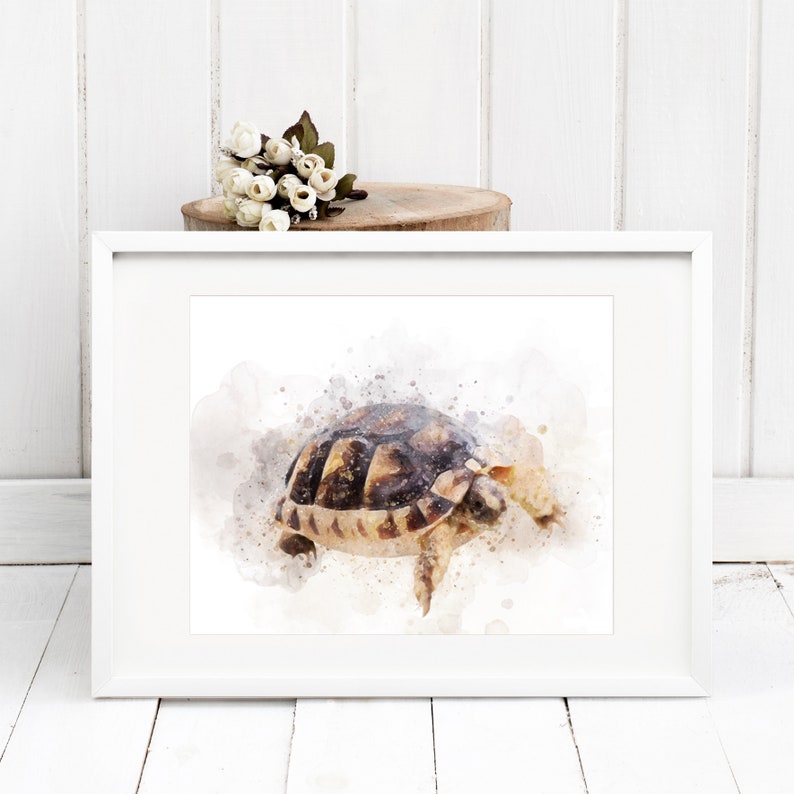 Tortoise Wall Art Watercolour Print Illustration A4 - Etsy