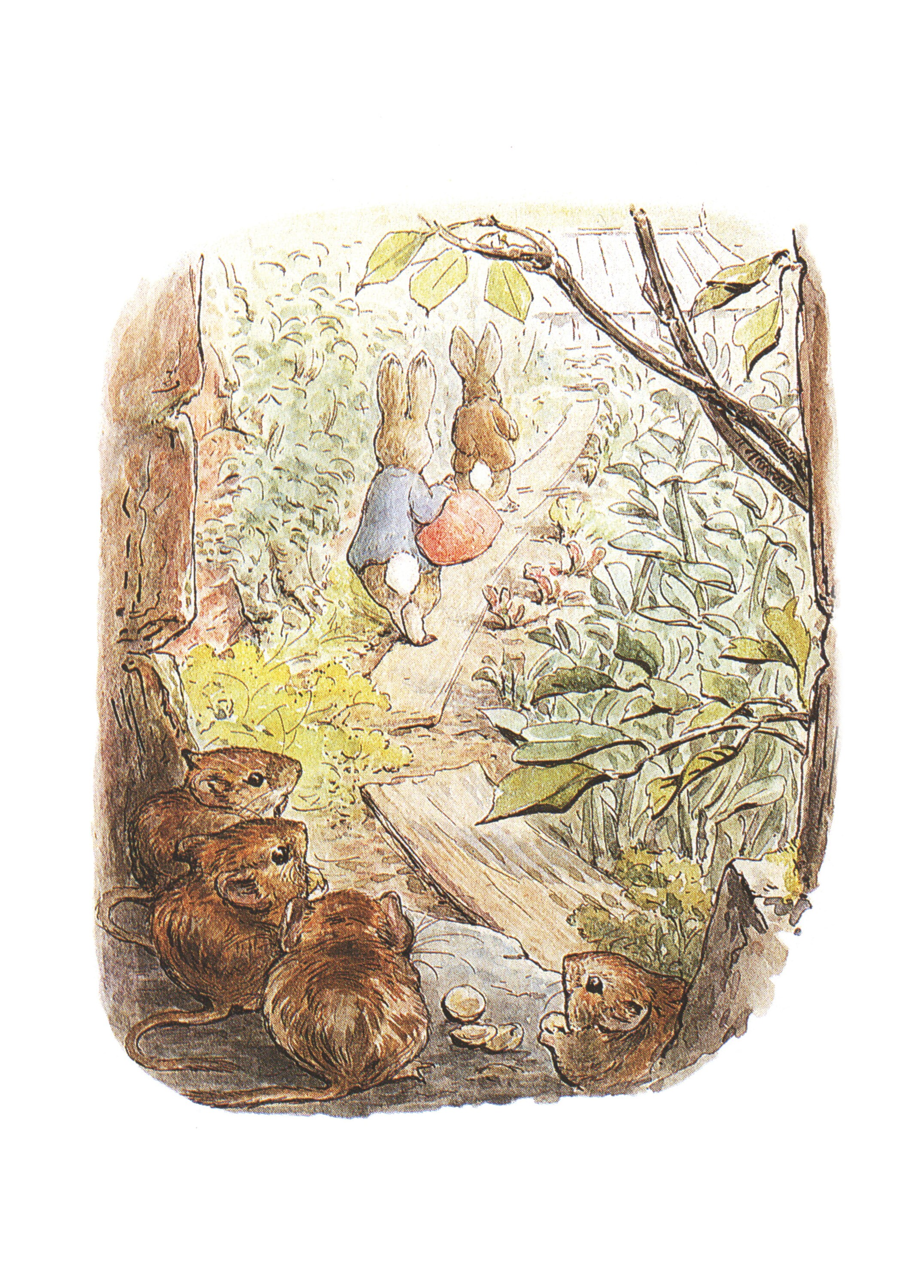 SET OF 4 Beatrix Potter Peter Rabbit Prints 5x7 | Etsy