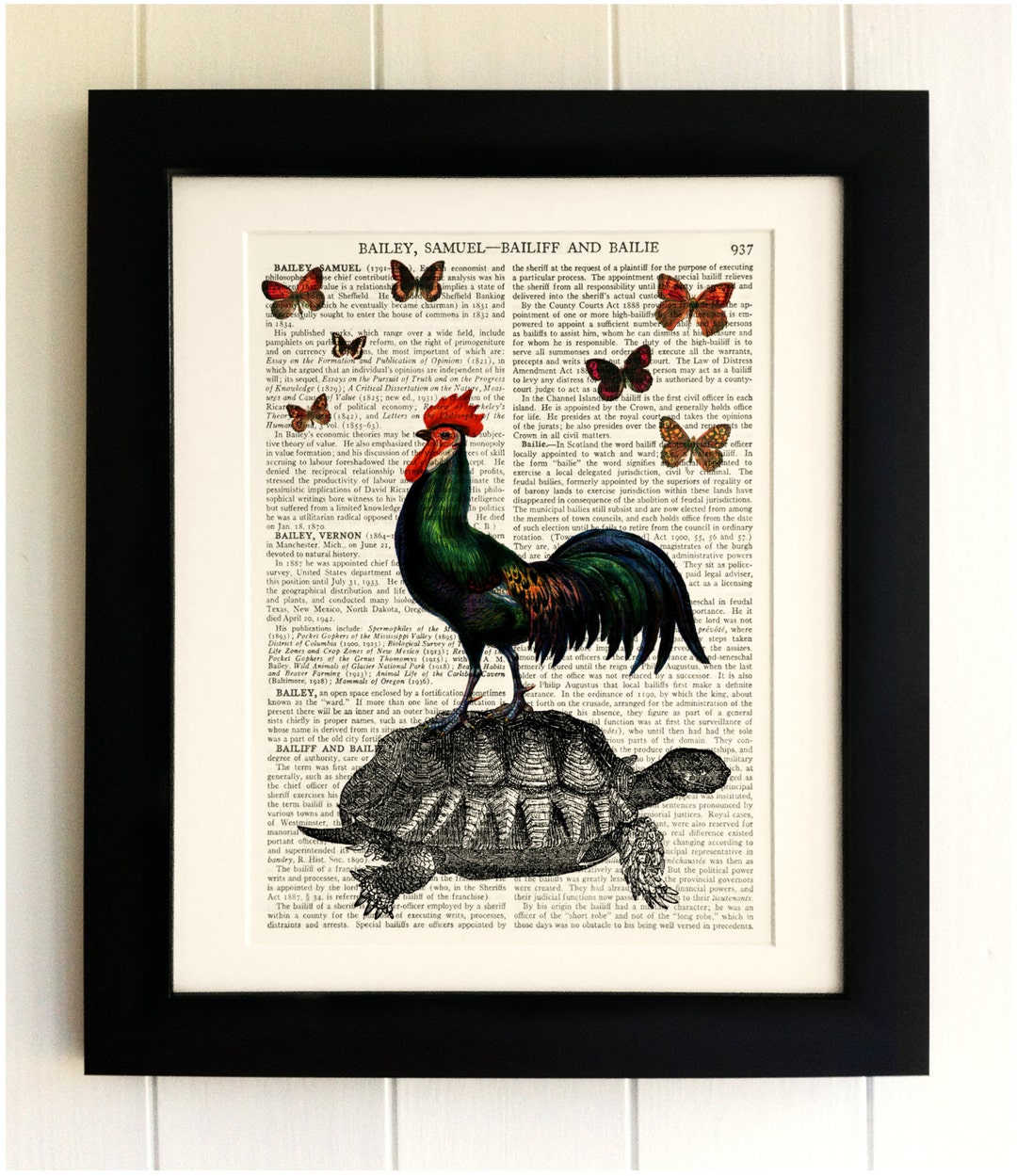 ART PRINT on Old Antique Book Page - Chicken on a Tortoise With ...
