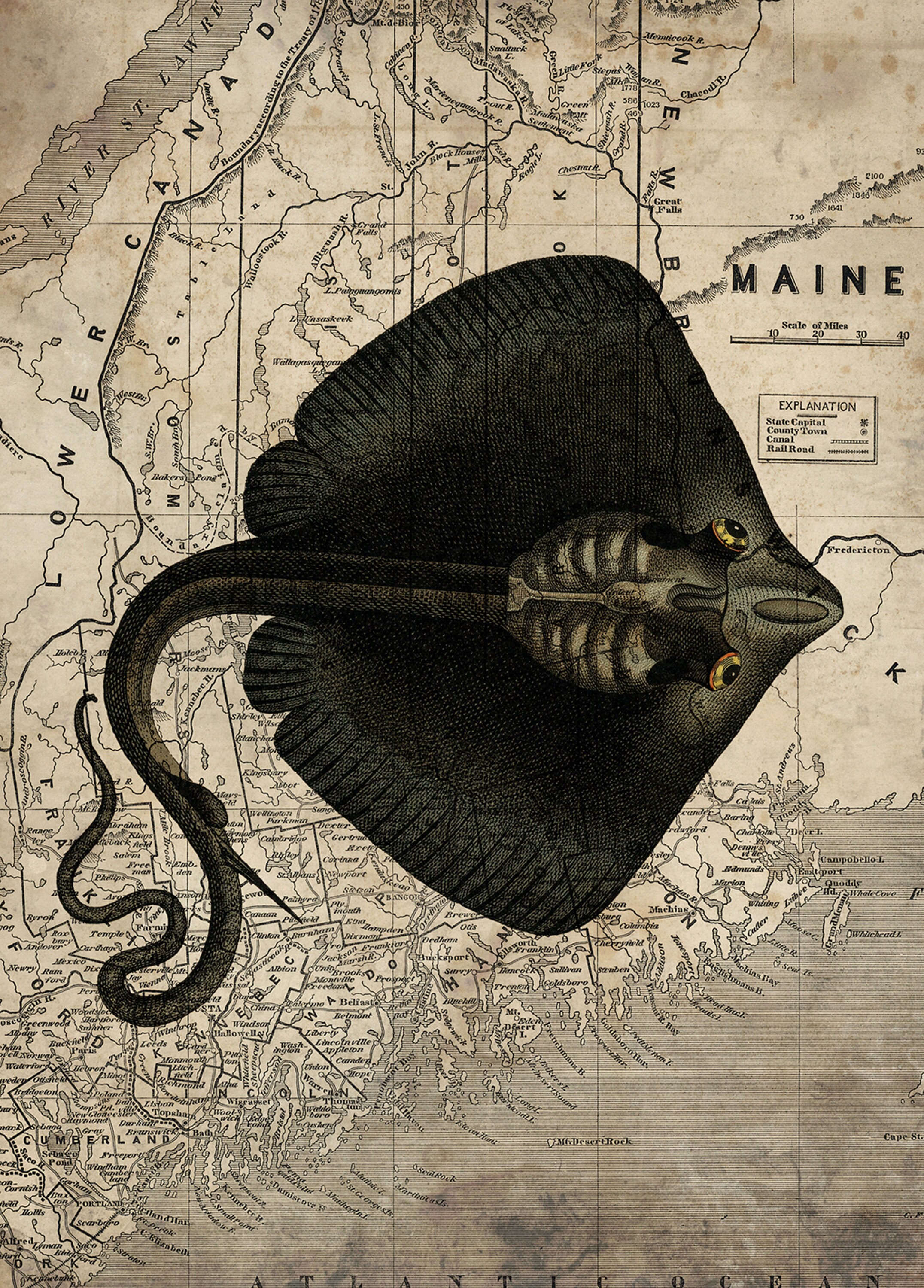 SET OF 4 Sea Creature Map Prints 5x7 UNFRAMED - Etsy