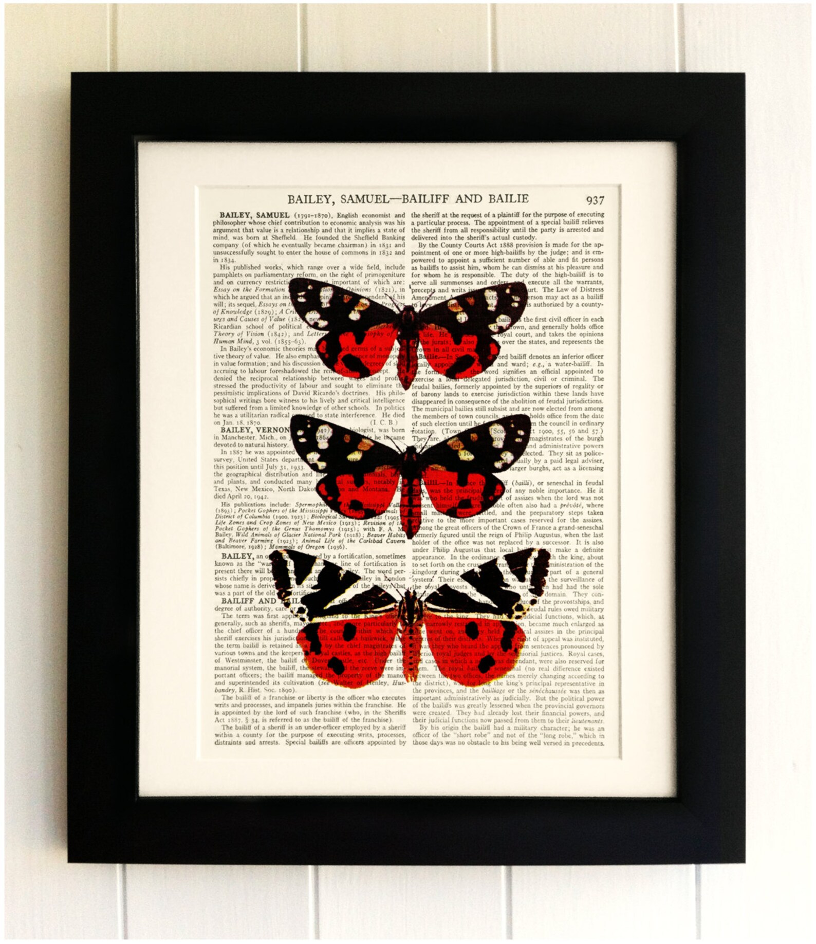 ART PRINT on Old Antique Book Page - 3 Butterflies/moths , Vintage ...