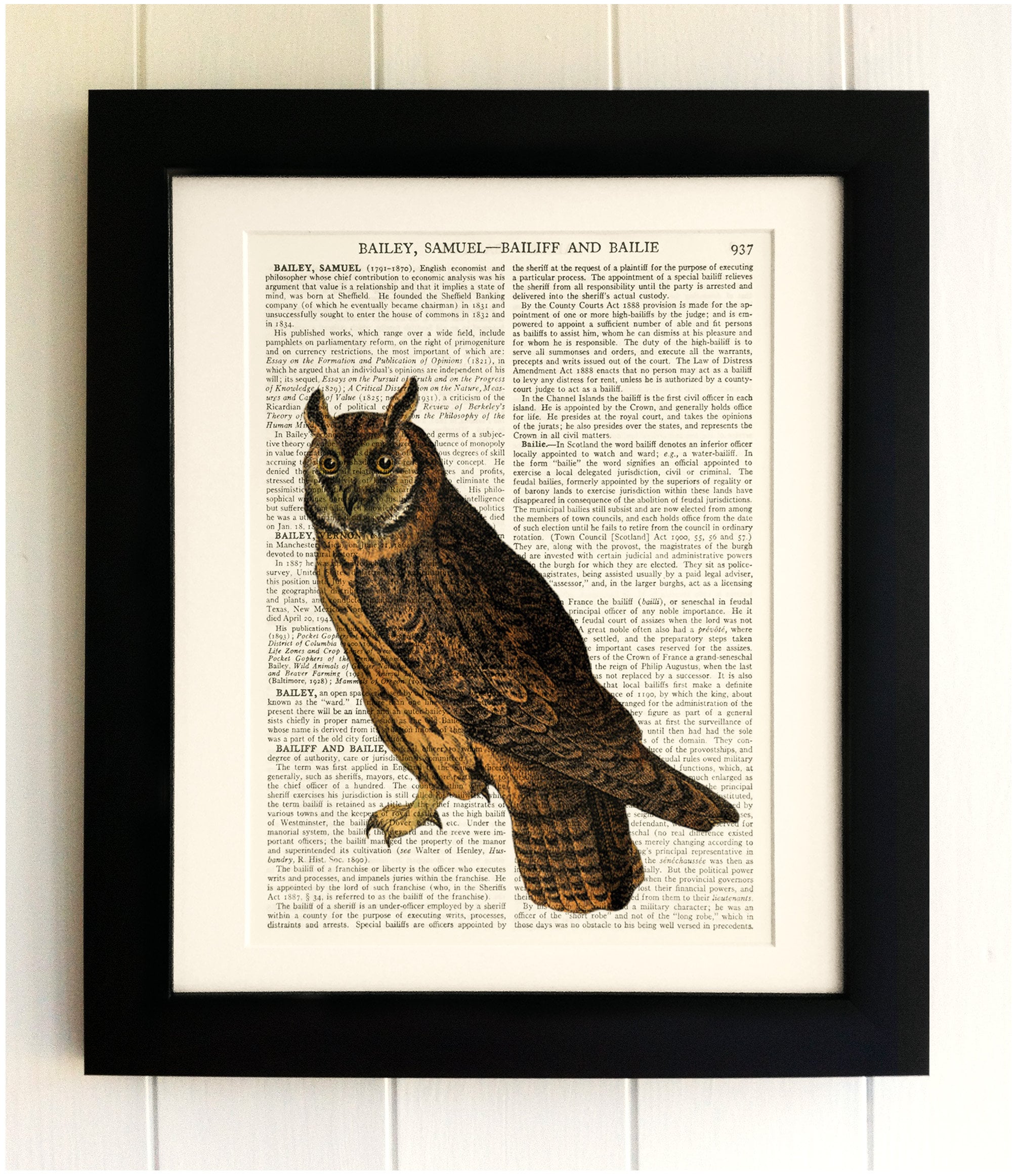 Set of 6 Art Prints on Old Antique Book Page - Owls, Vintage Wall Art ...