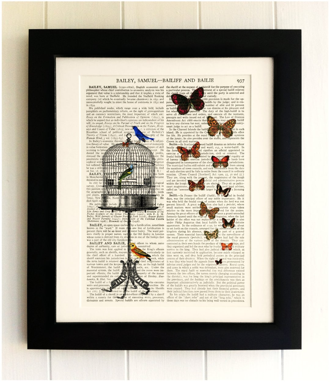 ART PRINT on Old Antique Book Page - Birds With Birdcage and ...