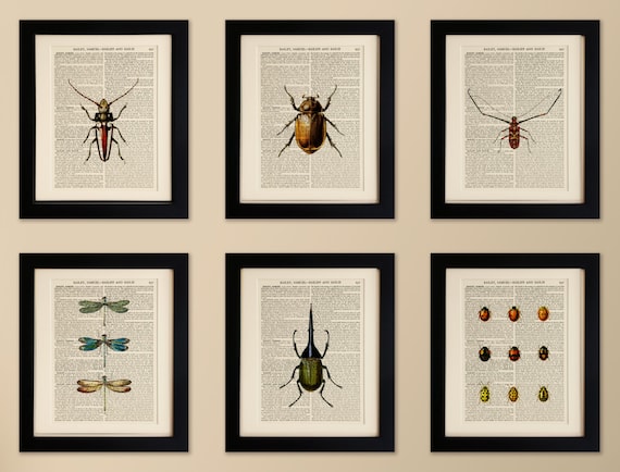 Digital Prints Art & Collectibles Insects original art print etna.com.pe