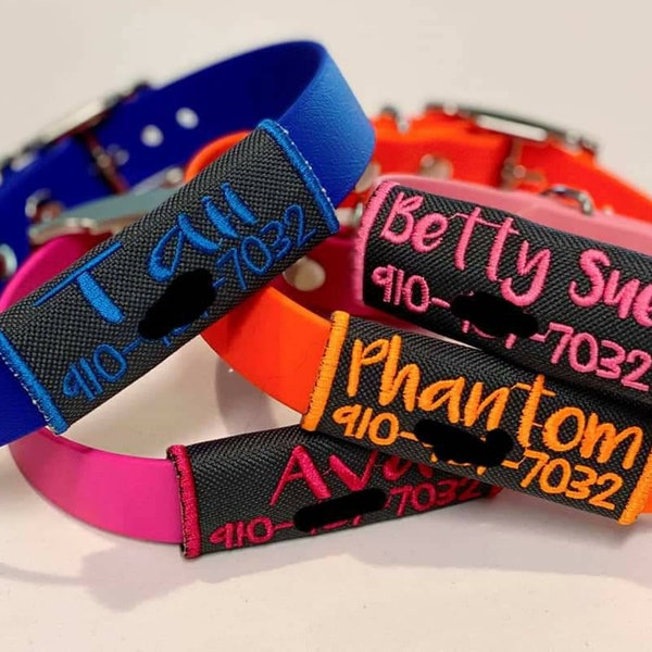 Green Dog Collar - Etsy