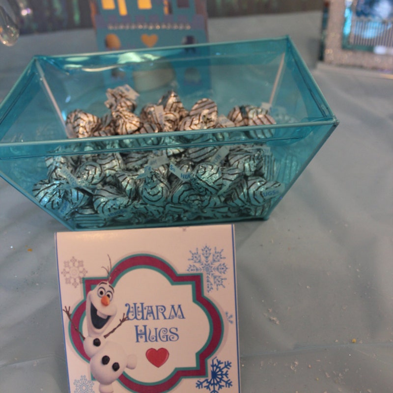 Frozen Place Cards - Etsy