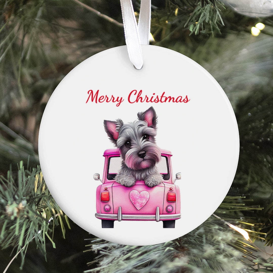 Miniature Schnauzer Puppy in Pink Car, Merry Christmas, Schnauzer ...
