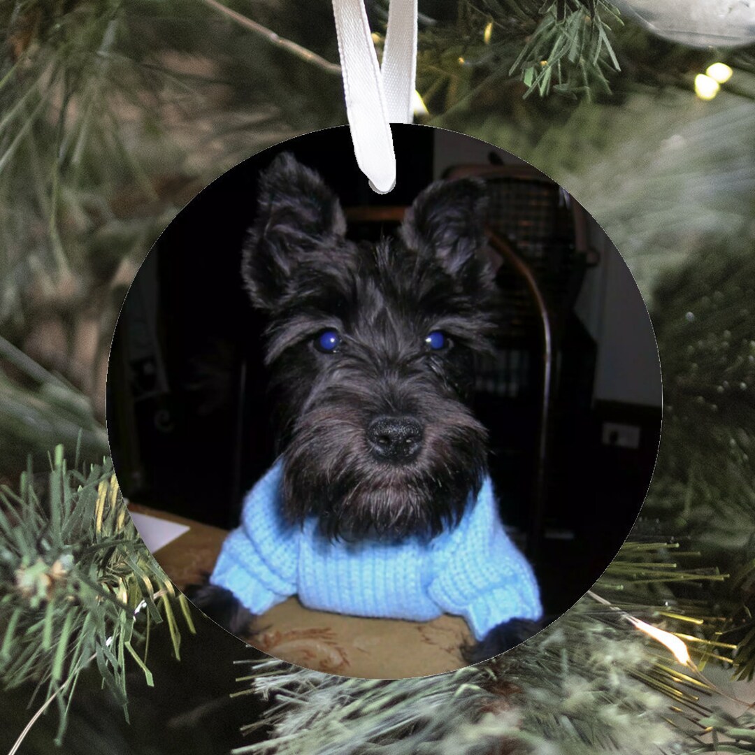 Schnauzer Christmas Ornament, Dog Christmas Ornament, Chloe, Pet ...