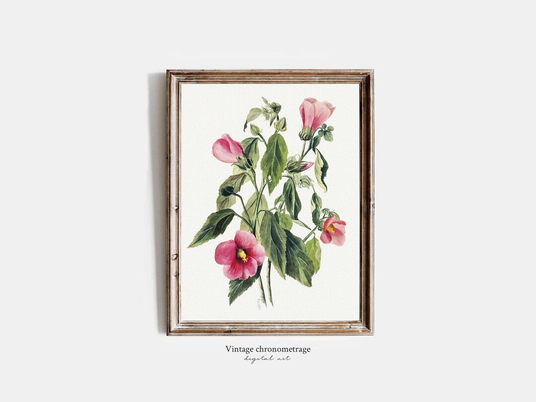 Mallow Print Vintage Botanical Wall Art Coquette Room Decor Blush Pink ...