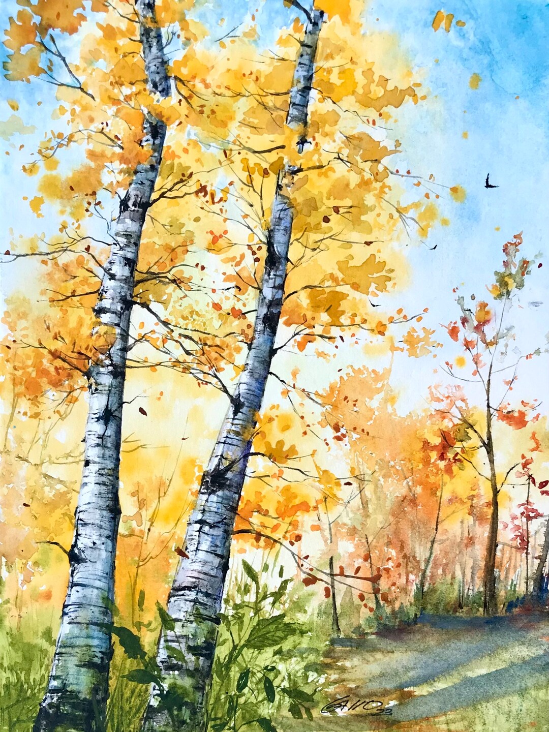Birches, 9 X 12", Autumn, Landscape, Watercolor on Arches Paper ...