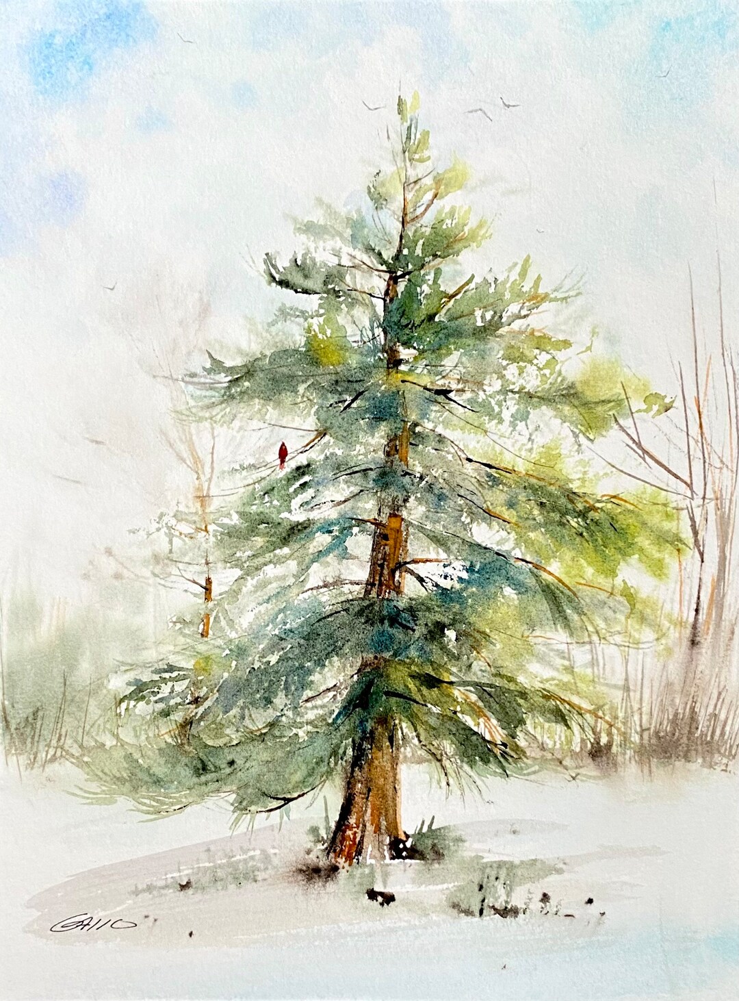 The Visitor, Cadinal Rouge, Watercolor, 9 X 12, Original Work, Gallo ...