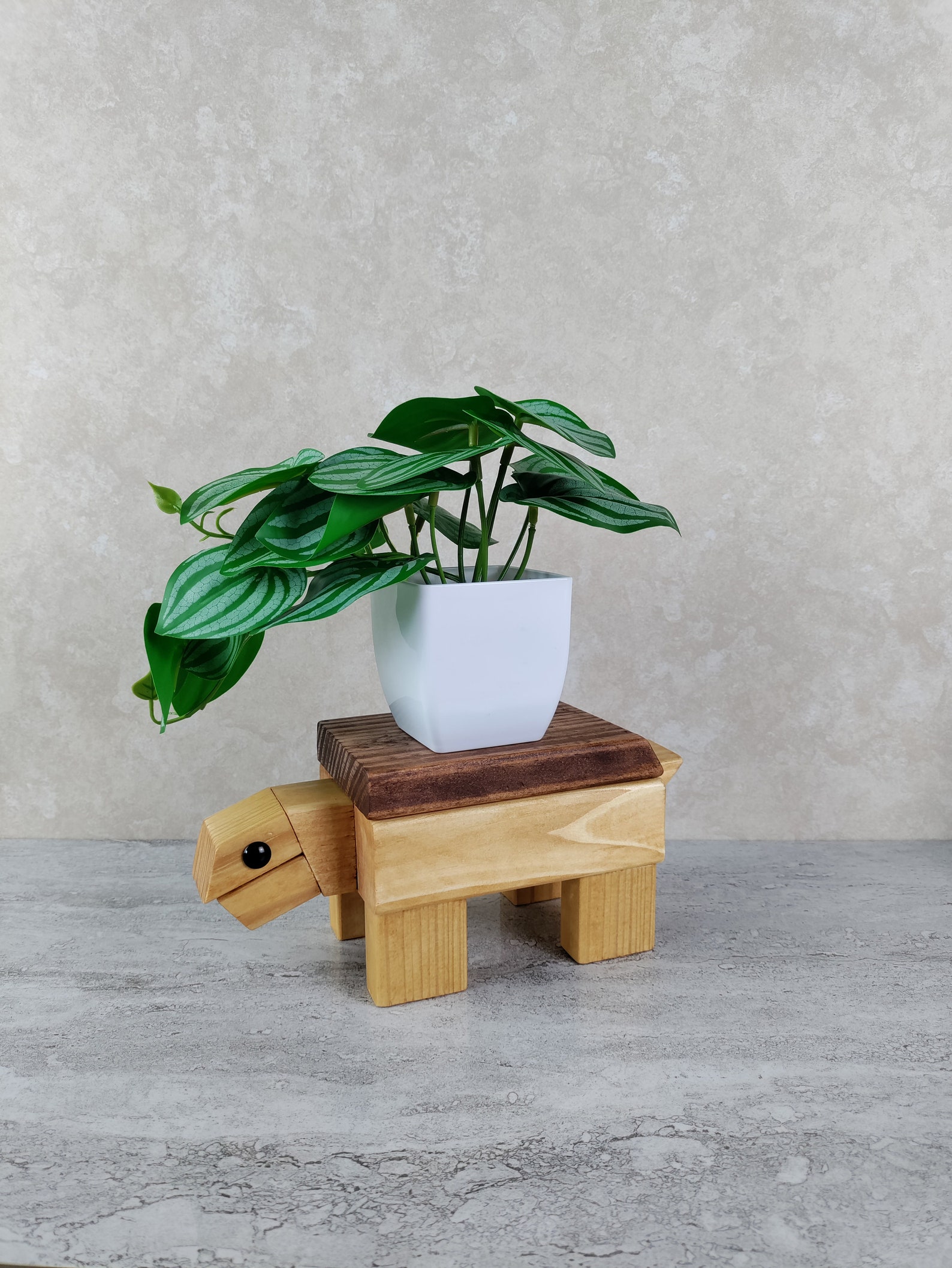 Small Tortoise Wood Riser, Wood Plant Stand, Wood Pedestal, Display ...