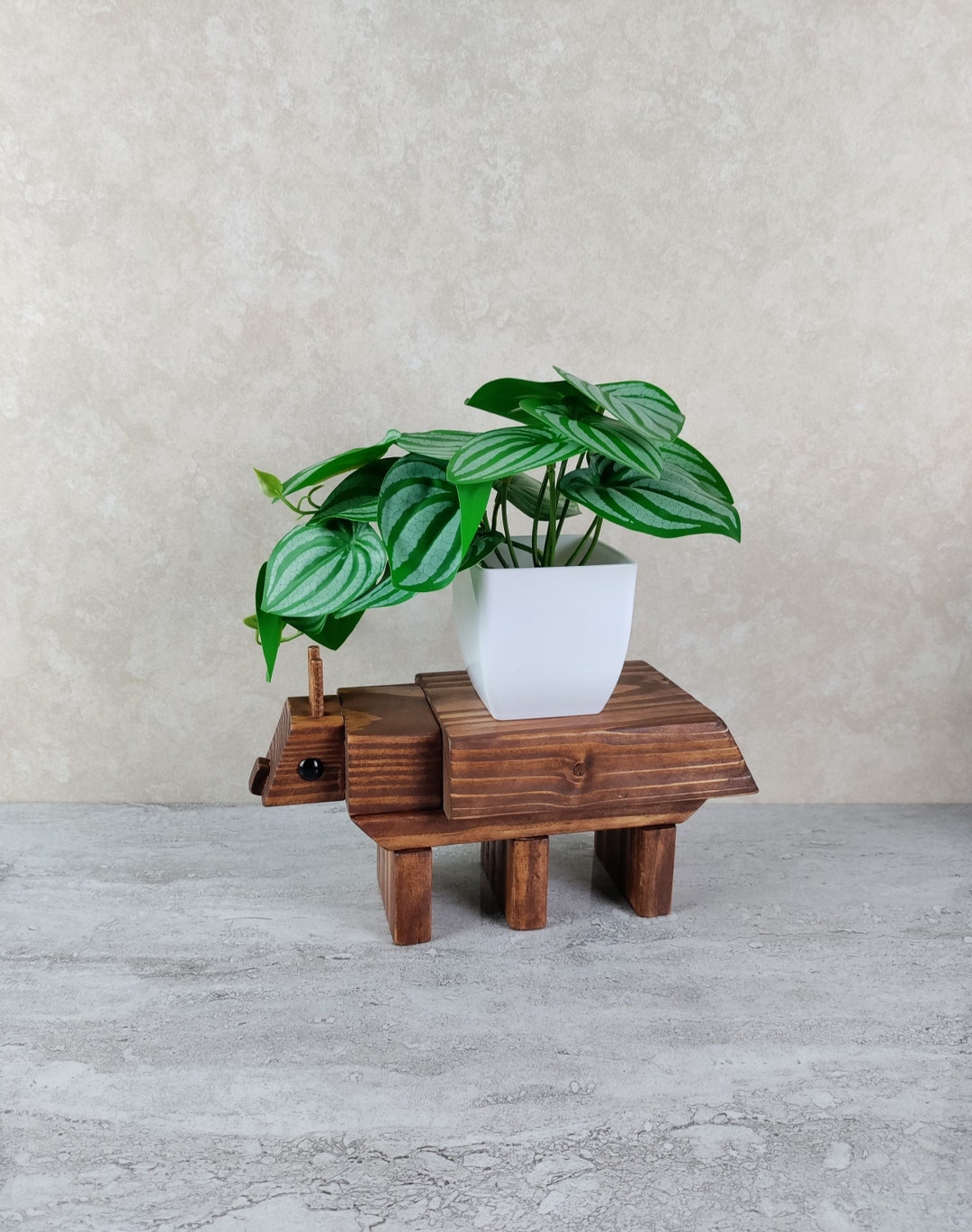 Beetle Wood Riser, Wood Plant Stand, Wood Pedestal, Display Riser ...