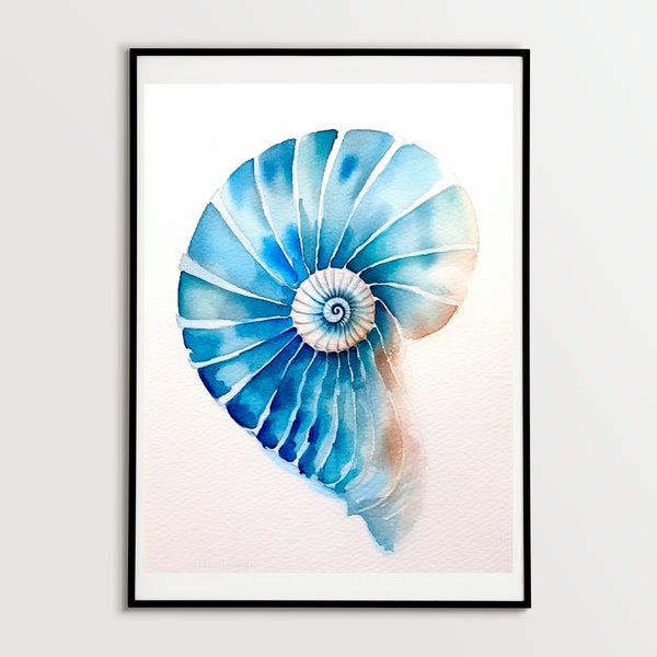 Nautilus Shell Art Etsy