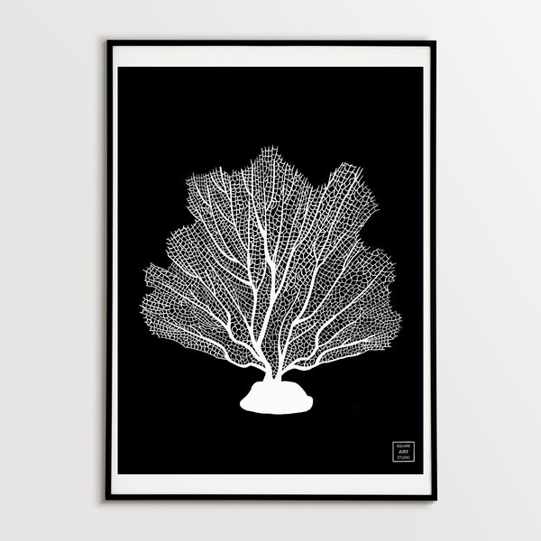 Sea Fan - Etsy