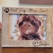 Who Rescued Who Personalized Pet Picture Photo Frame Custom Picture ...