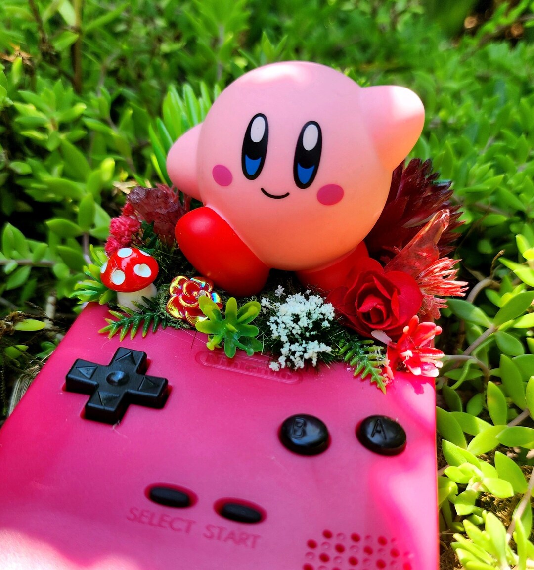 Kirby GBC Terrarium - Etsy