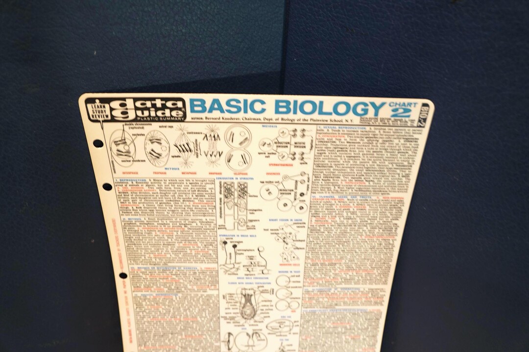 1060's Data Guide, Basic 2 Gender Biology, Educational Biology Chart ...