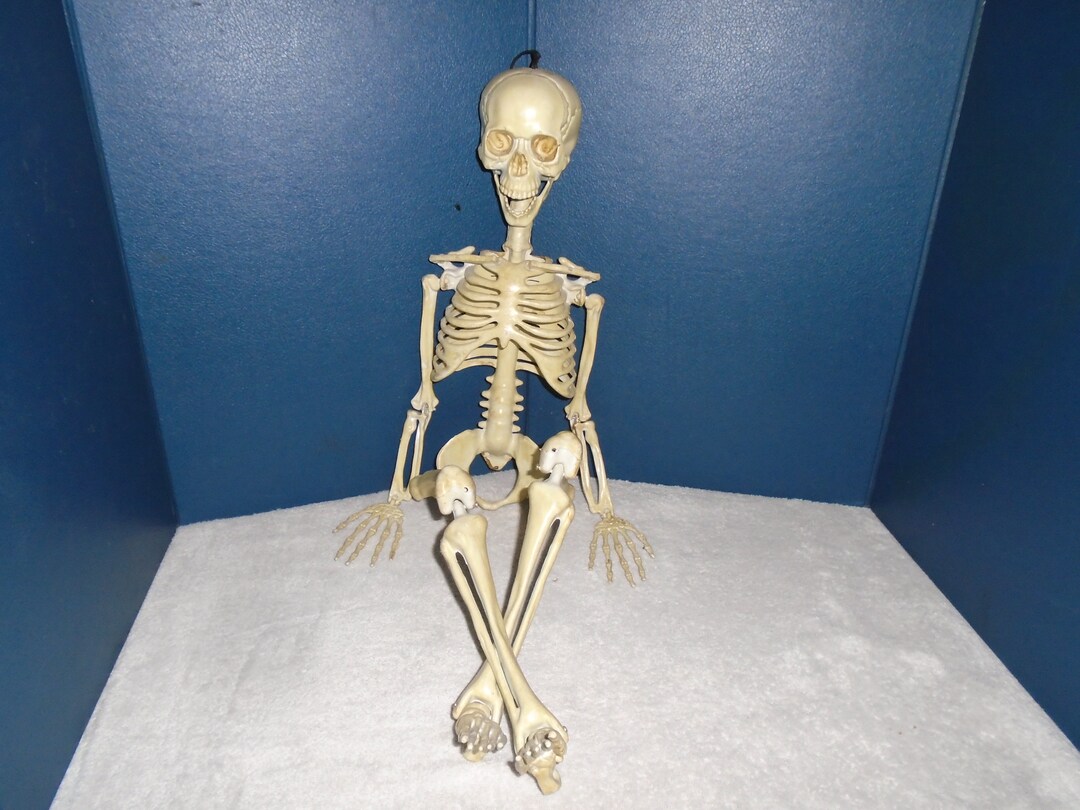 Vintage Plastic Human Skeleton, I Think Its Plastic IDK - Etsy