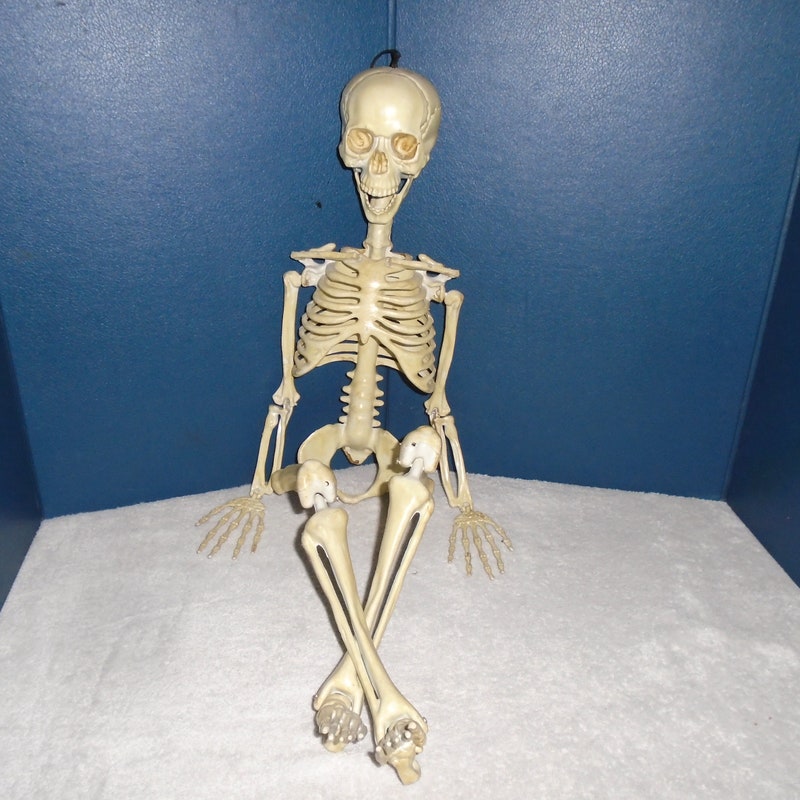 Skeleton Vintage Etsy