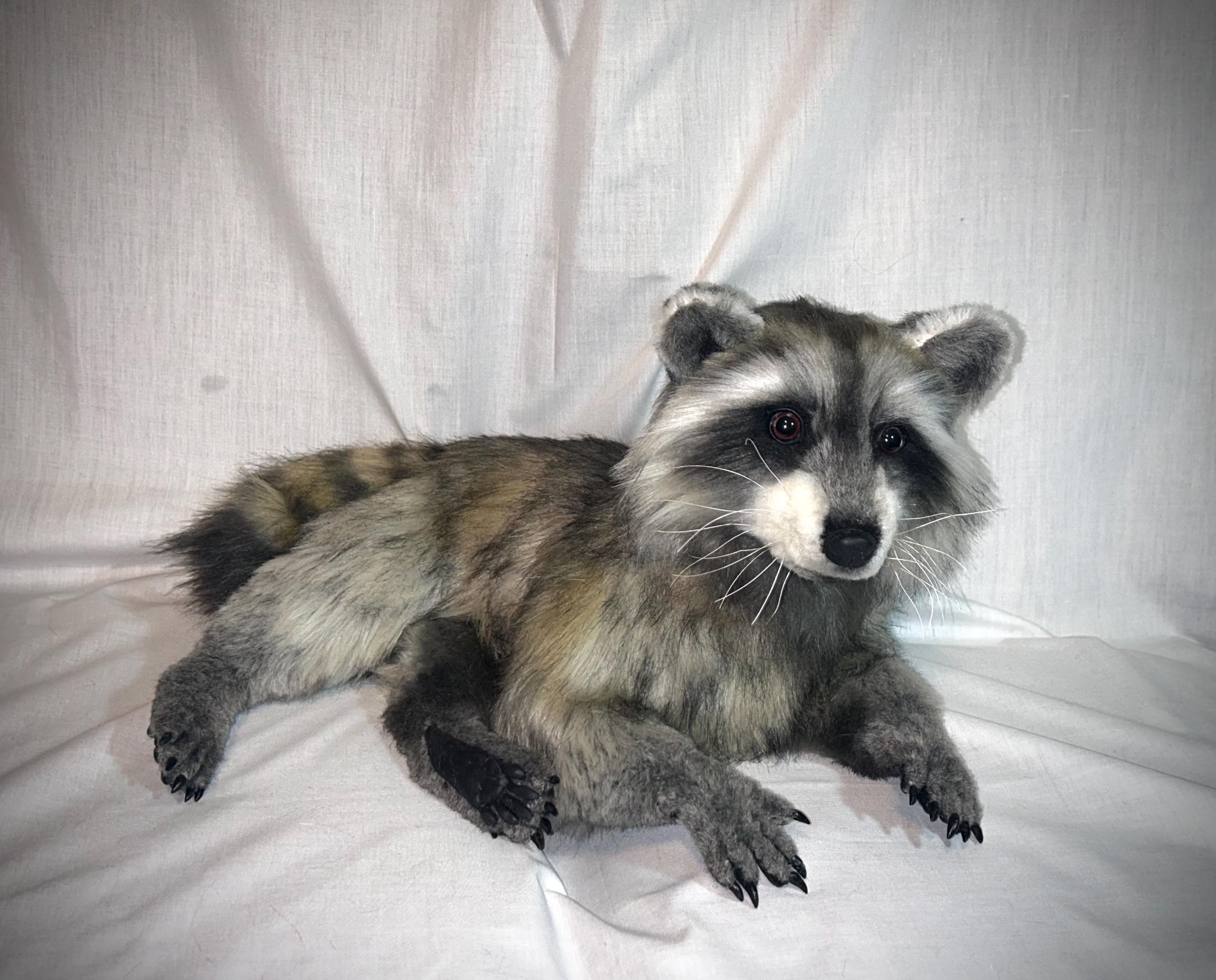 Hand Made Realistic Life Size Raccoon Doll Fully Posable - Etsy