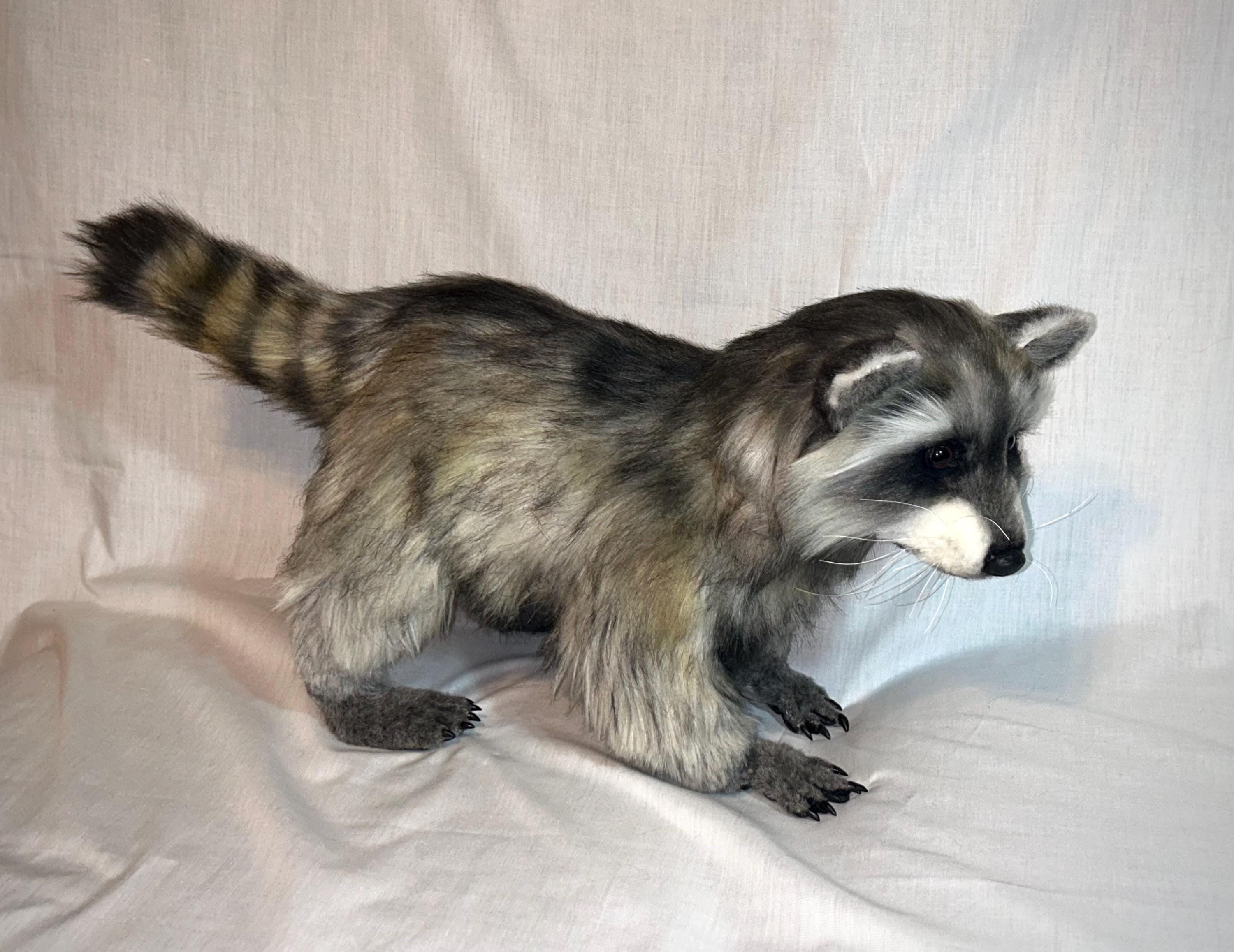 Hand Made Realistic Life Size Raccoon Doll Fully Posable - Etsy