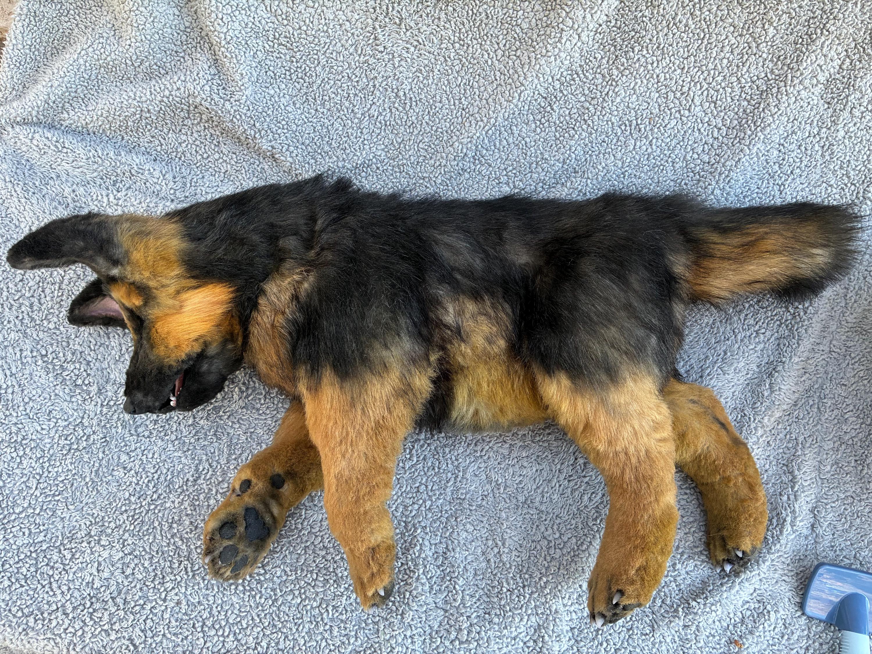 Hand Made German Shepherd Puppy Doll: Realistic Posable Stuffed Animal ...
