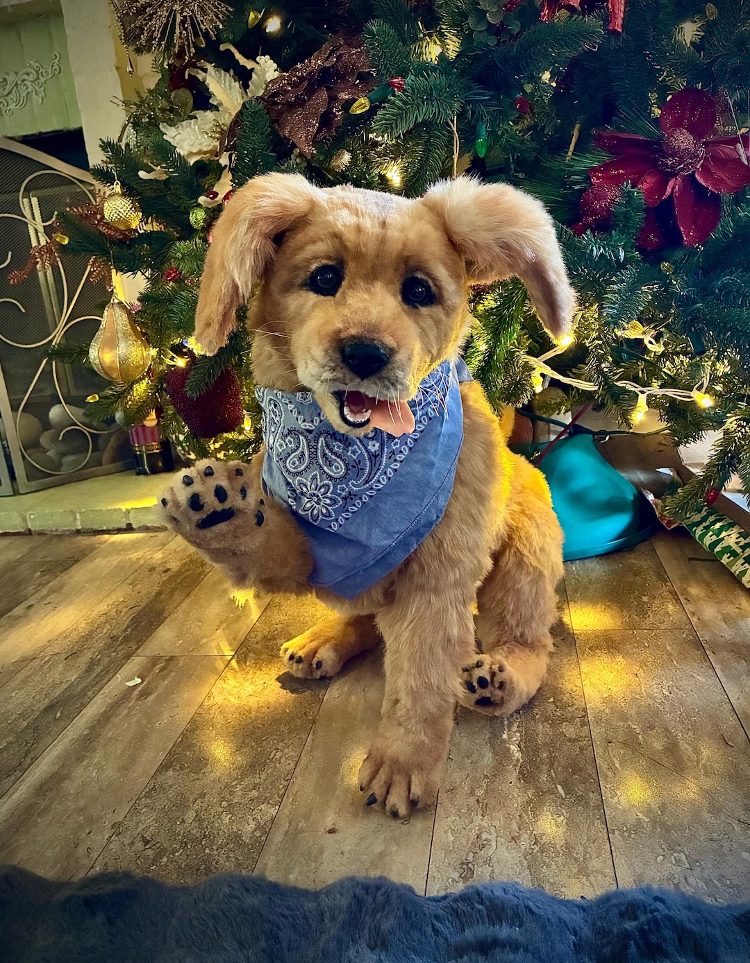 Realistic Golden Retriever Plush- Hand Made Posable Stuffed Animal - Etsy