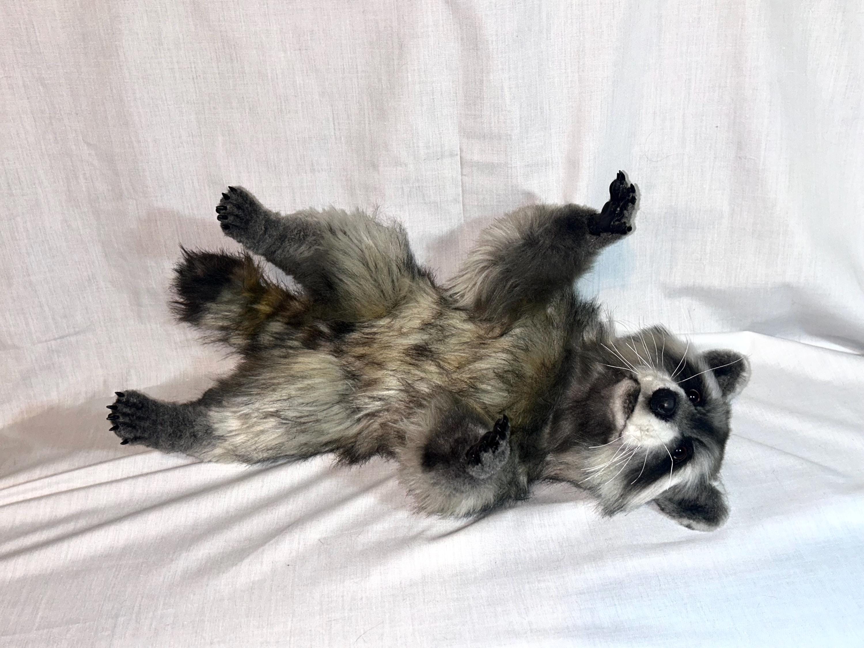 Hand Made Realistic Life Size Raccoon Doll Fully Posable - Etsy