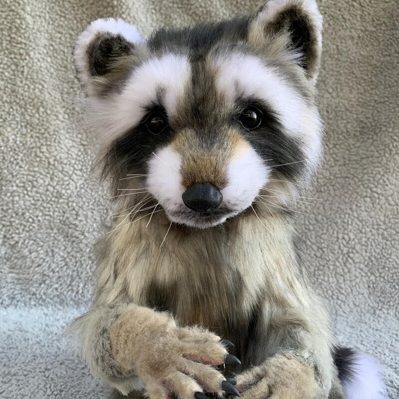 Raccoon Plush - Etsy