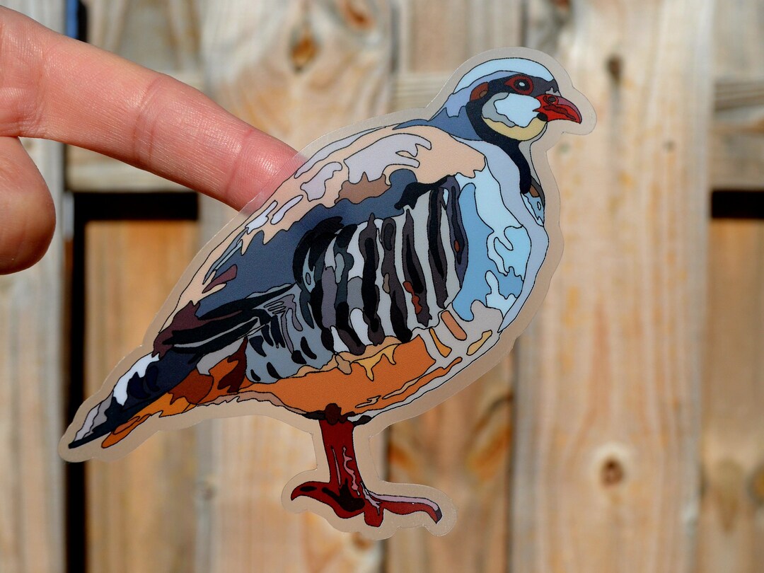 Chukar Sticker - Etsy