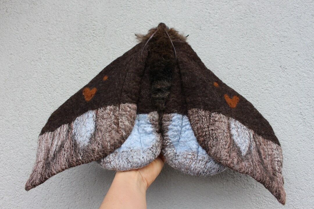 Moth, Realistic Felted Moth, Ischyja Paraplesius, Gift for Naturalist ...