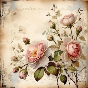 10 Shabby Chic Wild Roses Clipart, Shabby Chic Roses Paper, Shabby Chic ...