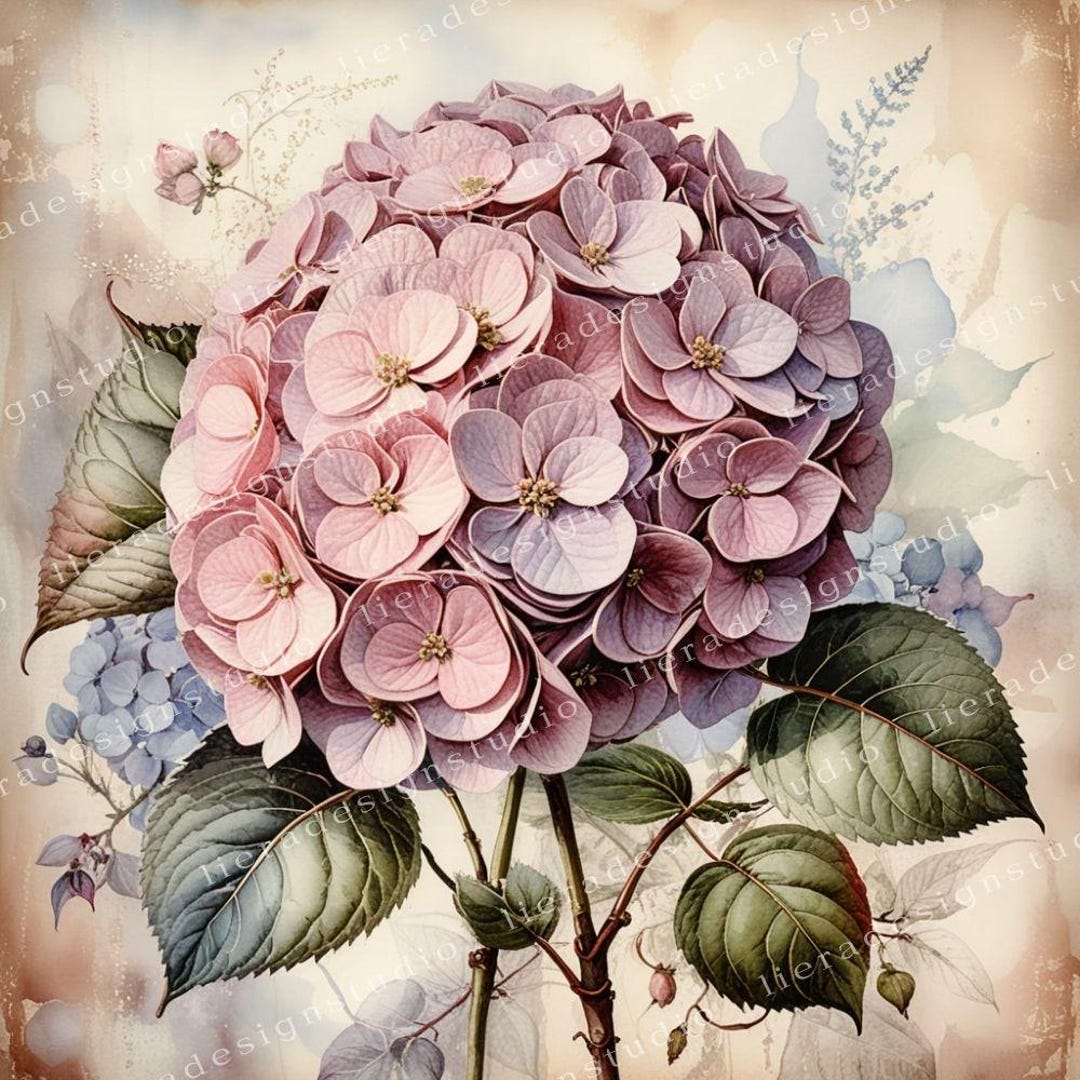 Vintage Hydrangea Bundle, Hydrangea Junk Journals, Vintage Flowers ...