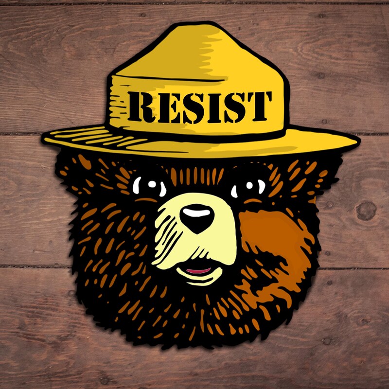 Resist Bear Stickers - Etsy