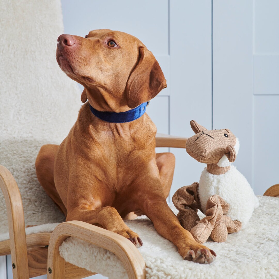 Woolliam the Lamb Dog Toy - Etsy